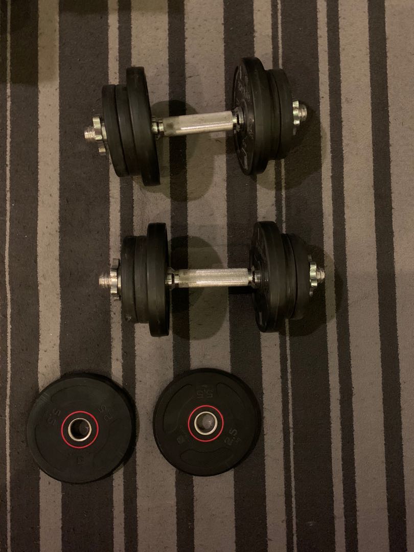 Domyos Dumbell + Weights, Sports Equipment, Exercise & Fitness, Weights ...