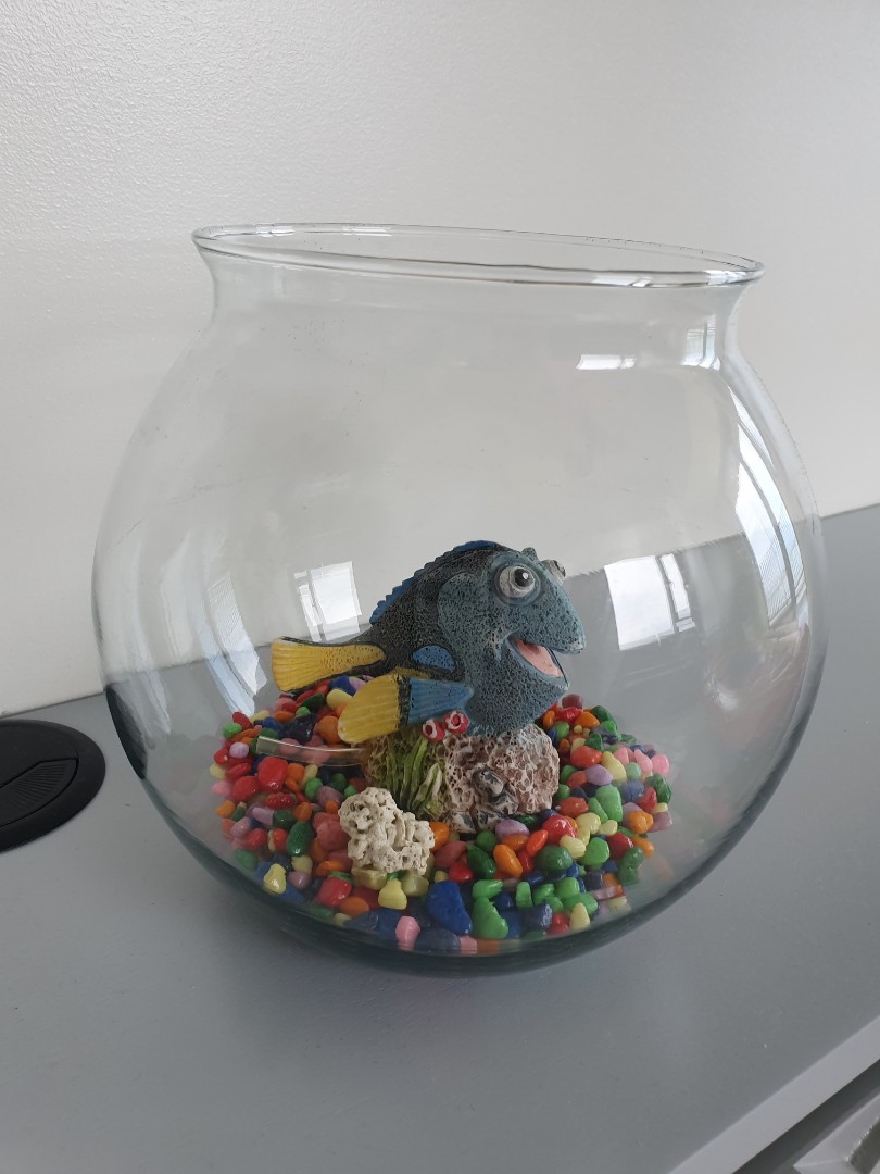 Fish Bowl, Pebbles and Dora Decor, Pet Supplies, Homes & Other Pet ...