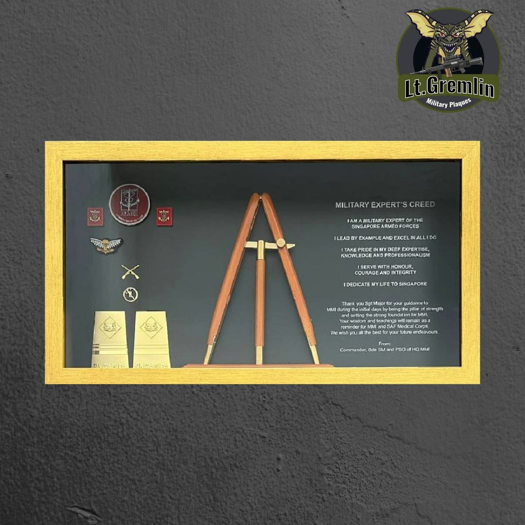 Mini Pace Stick Display - Warrant Officers, Hobbies & Toys, Stationery ...