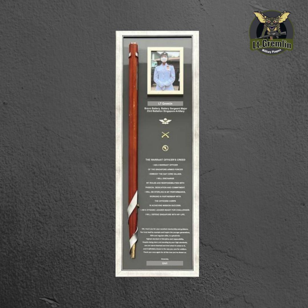 Pace Stick Display - Vertical Non Encased - Warrant Officer, Hobbies ...