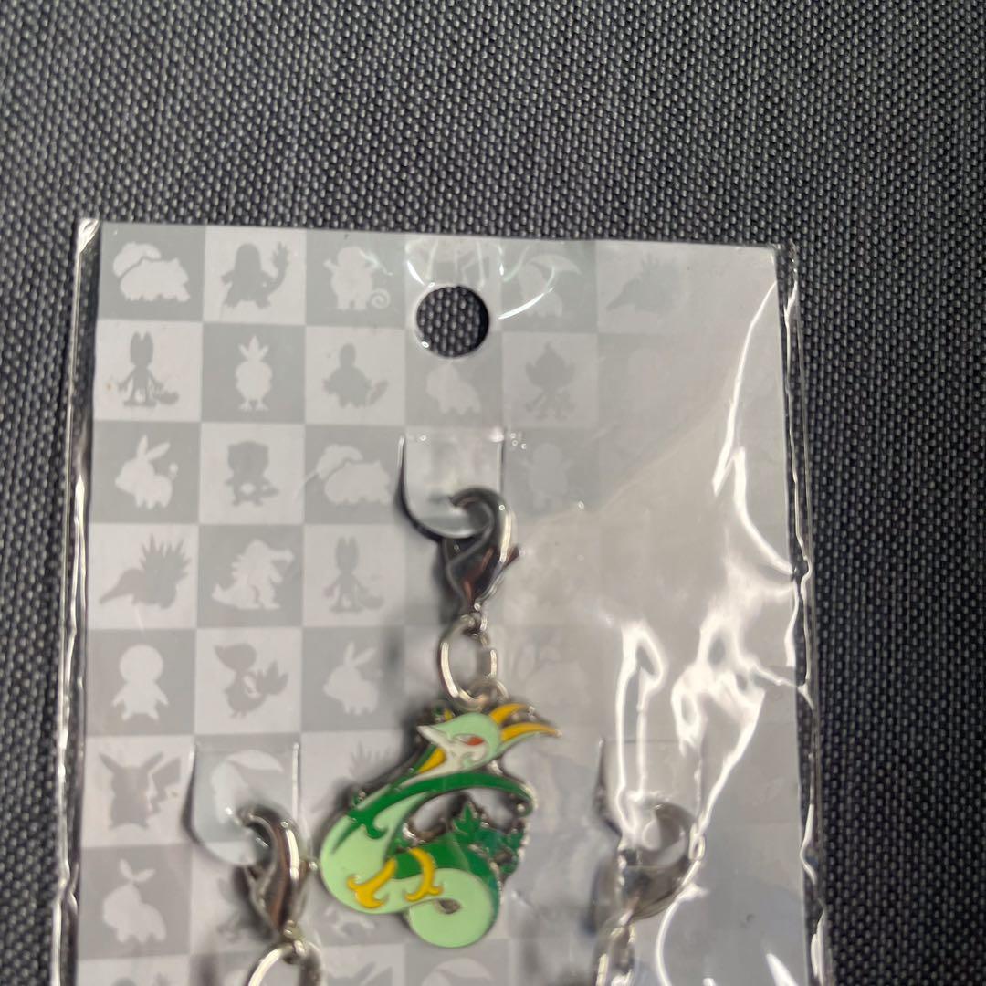 Pokemon Center Snivy Evo Metal Keychains, Hobbies & Toys, Toys & Games ...