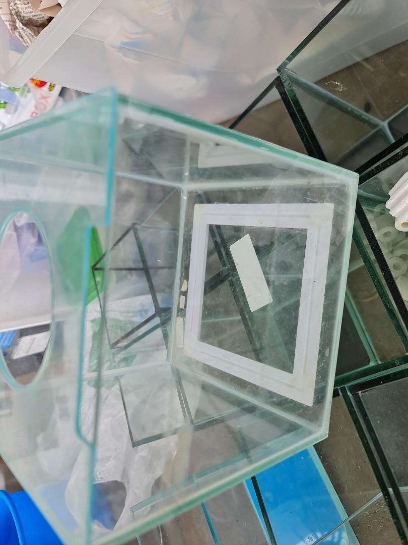 Square cuboid fish tank / good for bettas / mini tank / with cover, Pet ...