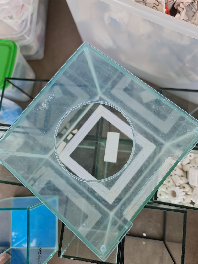 Square cuboid fish tank / good for bettas / mini tank / with cover, Pet ...