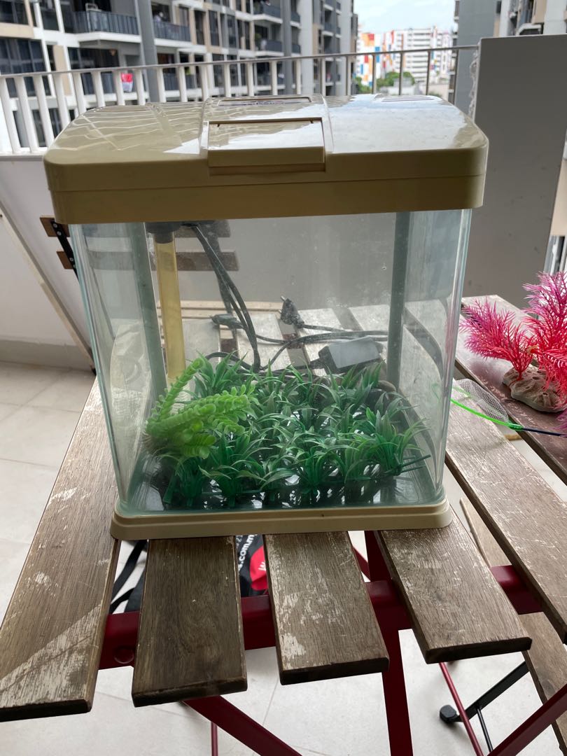 Used fish aquarium, Pet Supplies, Homes & Other Pet Accessories on ...