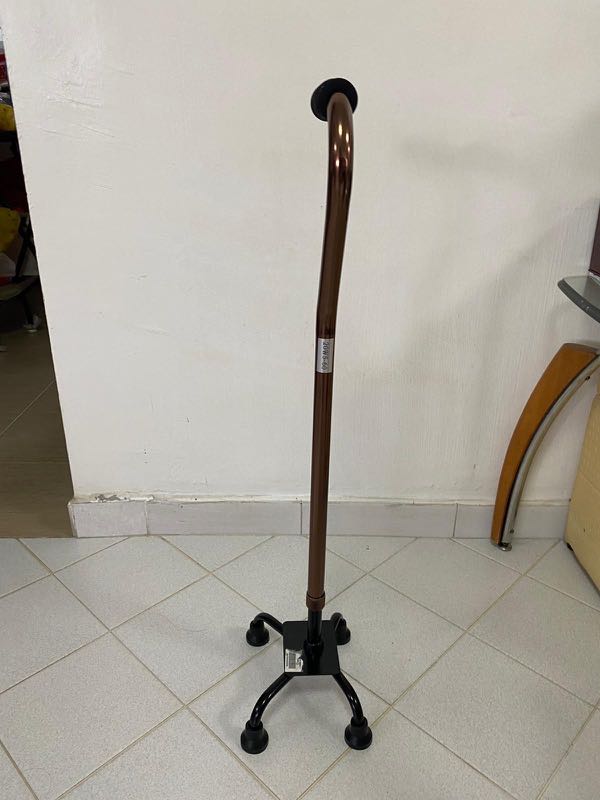 Walking stick, Health & Nutrition, Medical Supplies & Tools on Carousell