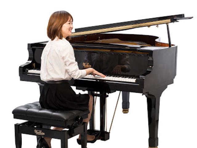 Wertheim Grand Pianos, Hobbies & Toys, Music & Media, Musical ...