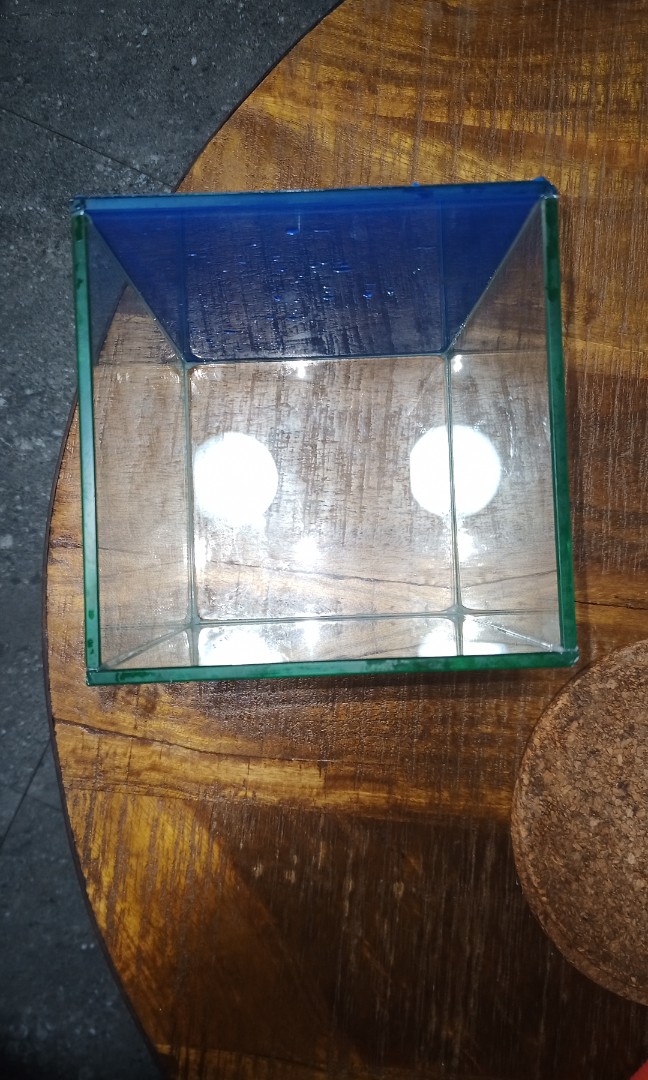 Betta Tanks by Ocean Free brand, Pet Supplies, Homes & Other Pet ...