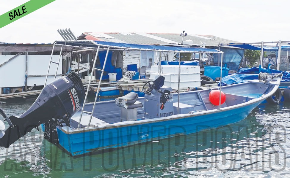 BOAT FOR SALE! SUPER CHEAP! VERY NEW FISHING BOAT FOR SALE!, Sports Equipment, Fishing on Carousell