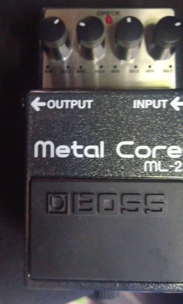 Bose Metal Core, Hobbies & Toys, Music & Media, Musical Instruments on ...