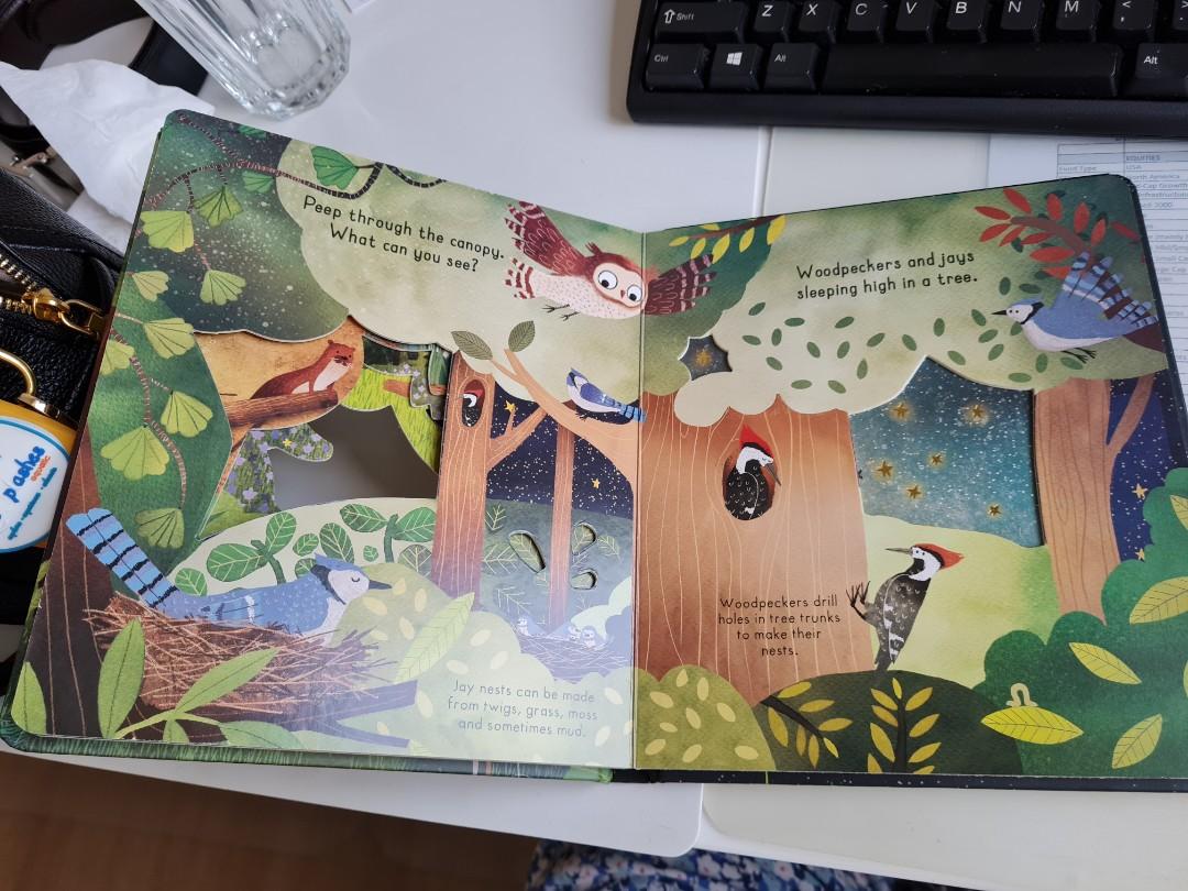 Little Explorer Goodnight Forest, Hobbies & Toys, Books & Magazines ...