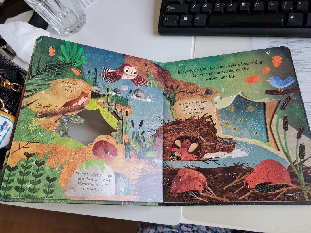 Little Explorer Goodnight Forest, Hobbies & Toys, Books & Magazines ...