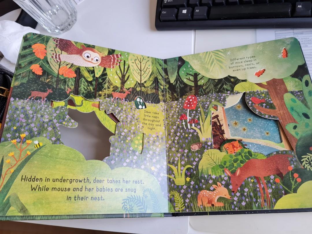 Little Explorer Goodnight Forest, Hobbies & Toys, Books & Magazines ...