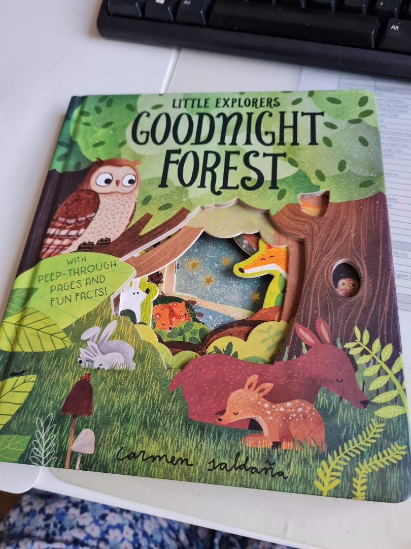 Little Explorer Goodnight Forest, Hobbies & Toys, Books & Magazines ...