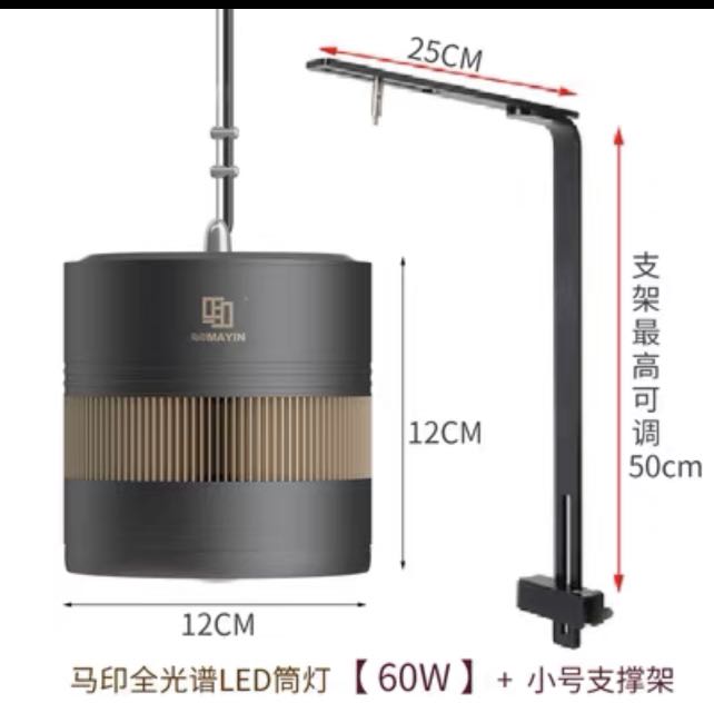 Mayin goldfish light ( full spectrum), Pet Supplies, Homes & Other Pet ...