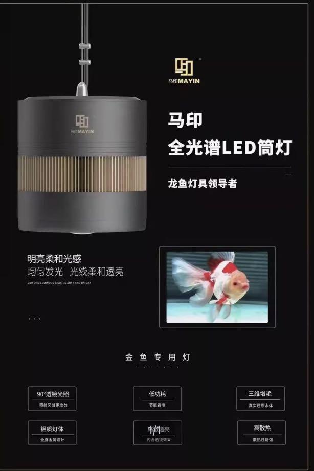 Mayin goldfish light ( full spectrum), Pet Supplies, Homes & Other Pet ...