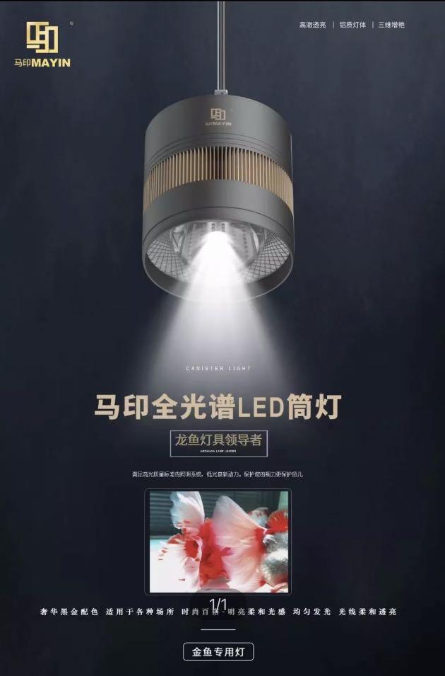 Mayin goldfish light ( full spectrum), Pet Supplies, Homes & Other Pet ...