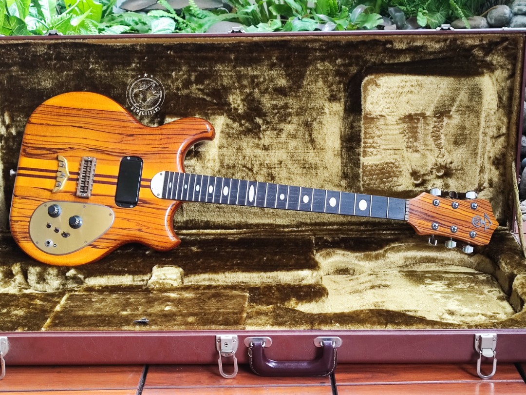 RARE Vintage 1981 Alembic Distillate Guitar, Hobbies & Toys, Music ...