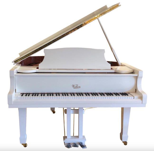 Wertheim Grand Pianos, Hobbies & Toys, Music & Media, Musical ...