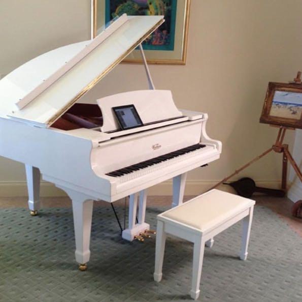 Wertheim Grand Pianos, Hobbies & Toys, Music & Media, Musical ...