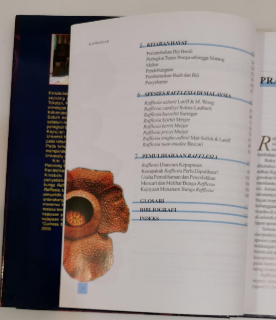 Big hardcover. RAFFLESIA, Hobbies & Toys, Books & Magazines, Storybooks ...
