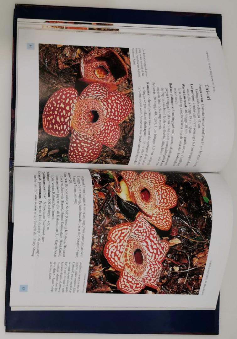 Big hardcover. RAFFLESIA, Hobbies & Toys, Books & Magazines, Storybooks ...