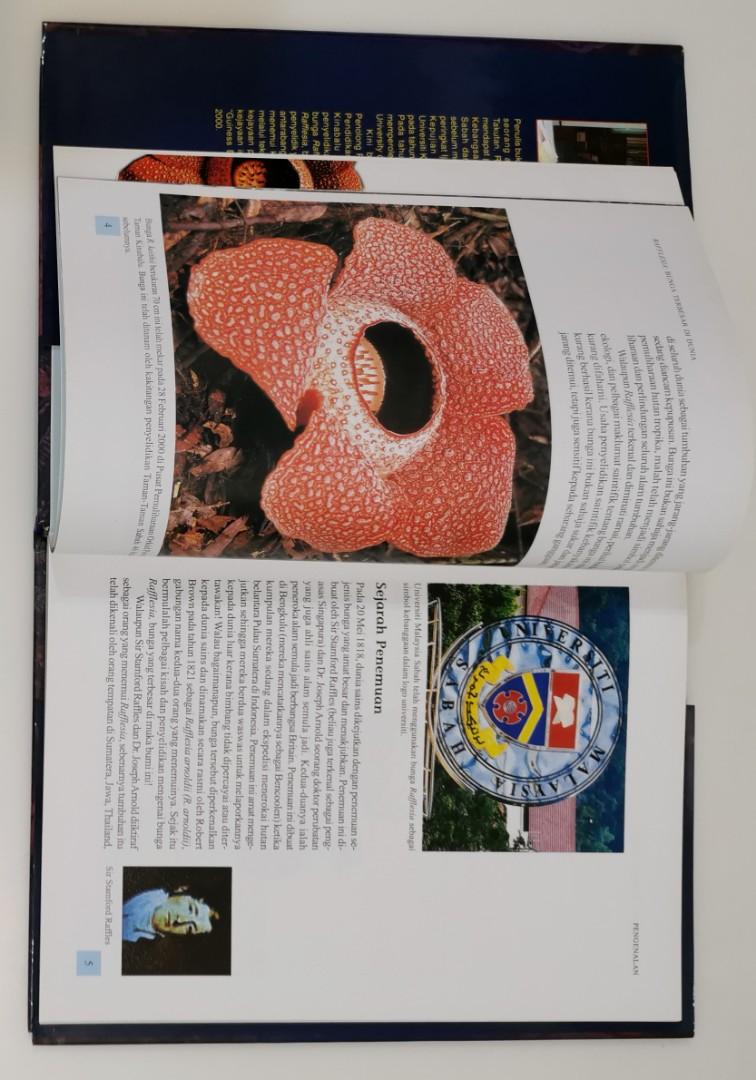 Big hardcover. RAFFLESIA, Hobbies & Toys, Books & Magazines, Storybooks ...