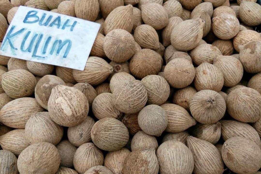 Buah Kulim, Health & Nutrition, Health Supplements, Health Food, Drinks ...