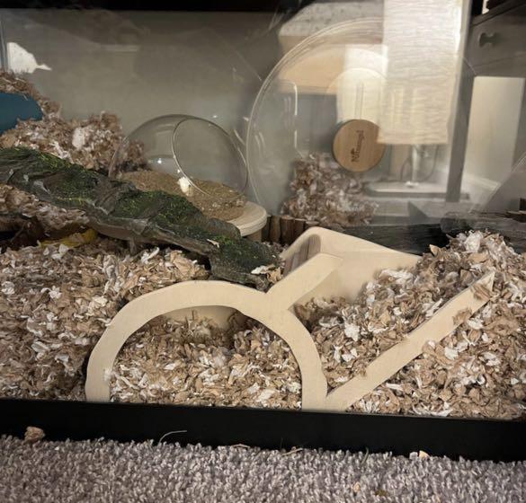 Hamster watchbox underground hideout hide home hideaway wooden peep ...