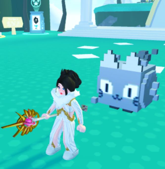 HUGE PIXEL CAT| Pet Simulator X, Video Gaming, Gaming Accessories, In ...