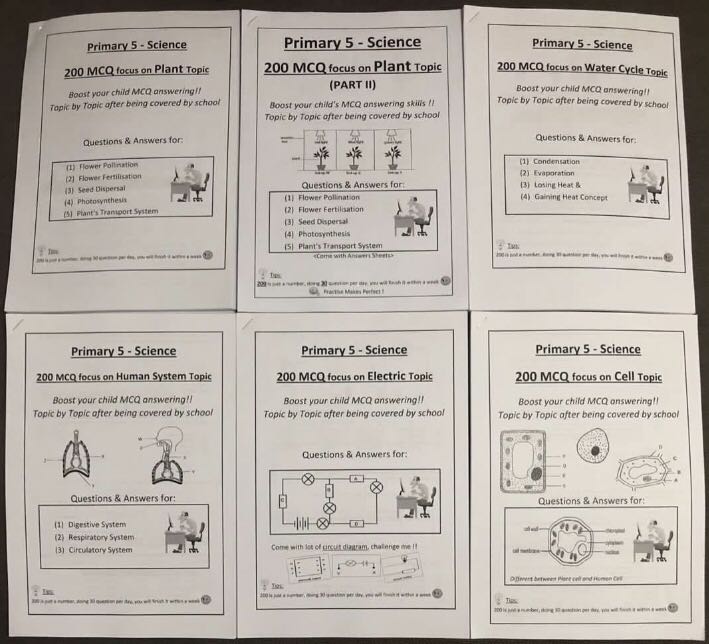 P5 Science MCQ by Topic (2012-2016), Hobbies & Toys, Books & Magazines ...