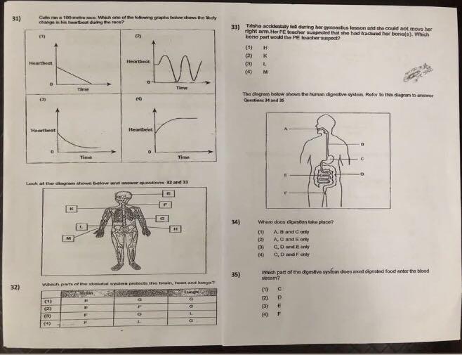 P5 Science MCQ by Topic (2012-2016), Hobbies & Toys, Books & Magazines ...