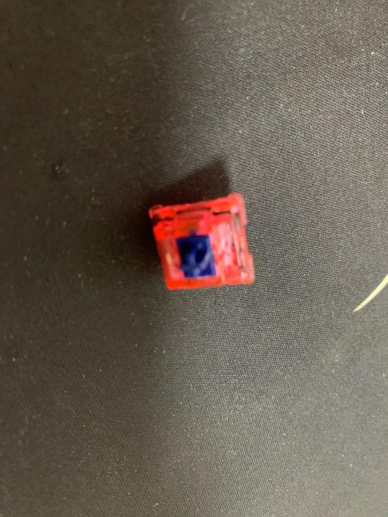 Tactile sp Star x kon momo switch, Computers & Tech, Parts ...