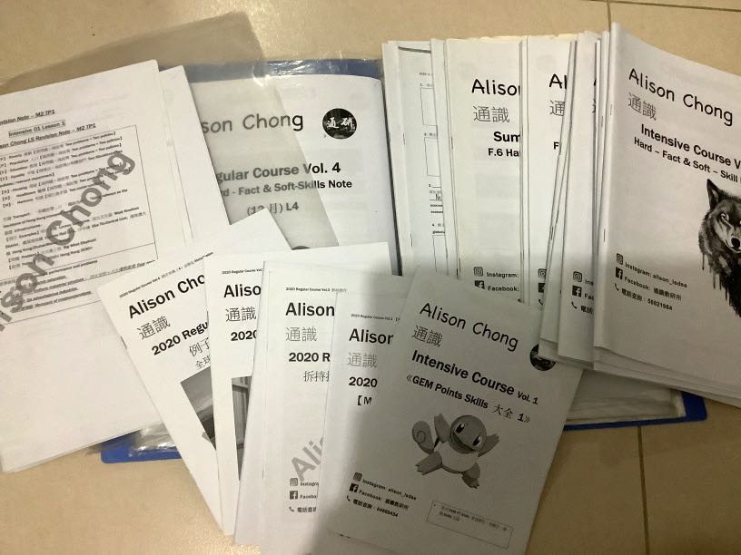 Alison Chong LS通識兩年補習筆記全售（包括key word表 Regular筆記 小本Gem point skill持份者例子 ...