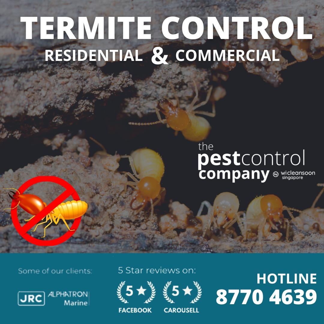 17. Any Pest Control Problems? Termites, subterranean termites, dry ...