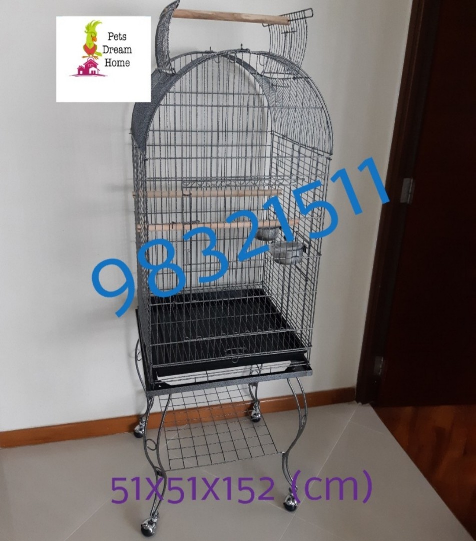 Parrot Cage, Pet Supplies, Homes & Other Pet Accessories on Carousell