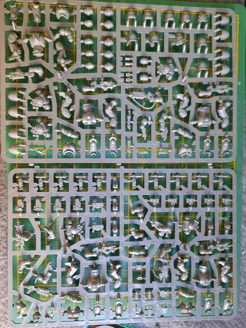 Warhammer 40k 5x Primaris Intercessor sprues, Hobbies & Toys, Toys ...