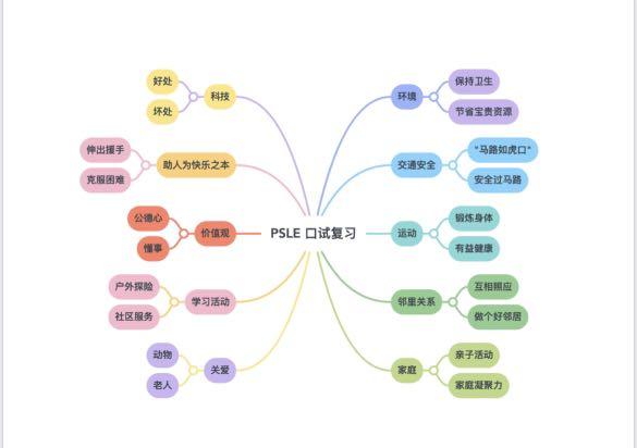 2022 PSLE CHINESE ORAL NOTES *UPDATED, Everything Else on Carousell
