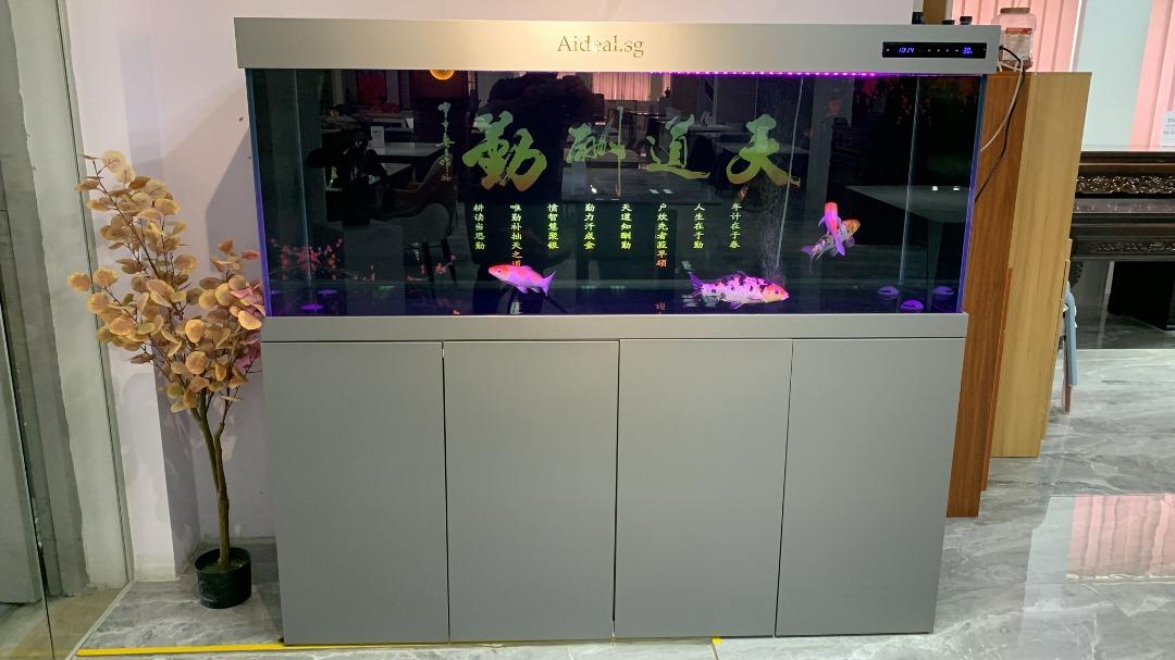 6ft stainless steel fish tank with upgrade sump system, Pet Supplies ...