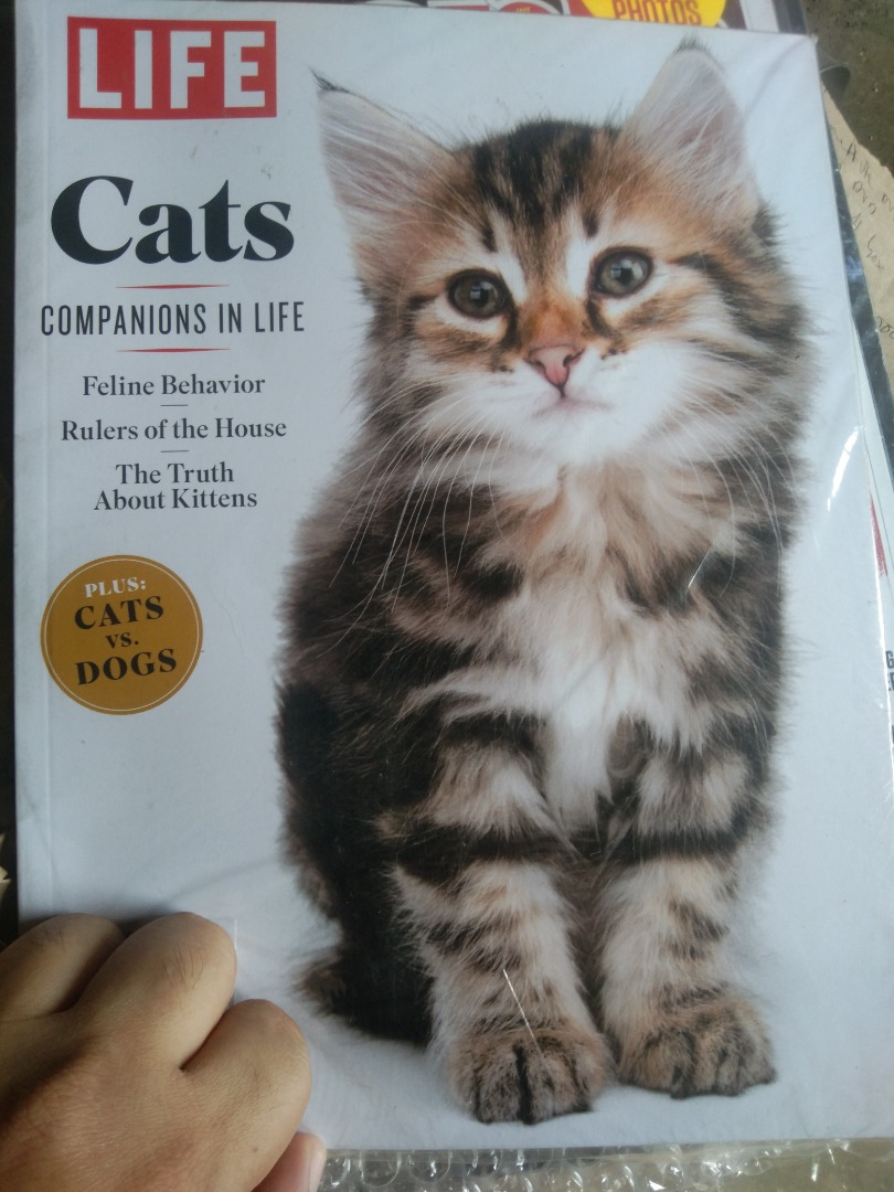 Cat magazine, Hobbies & Toys, Books & Magazines, Magazines on Carousell