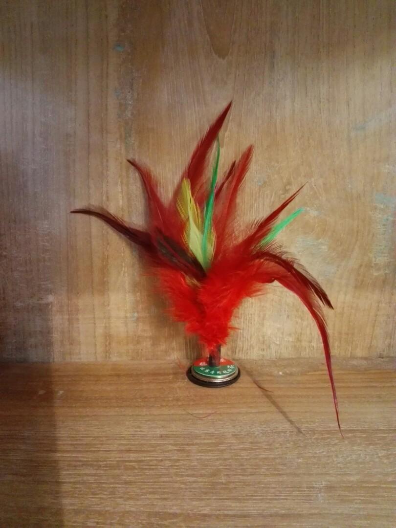 E503 - Feather Chapteh, Hobbies & Toys, Toys & Games on Carousell