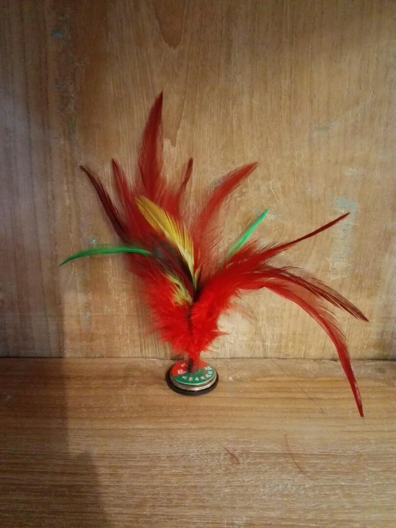 E503 - Feather Chapteh, Hobbies & Toys, Toys & Games on Carousell