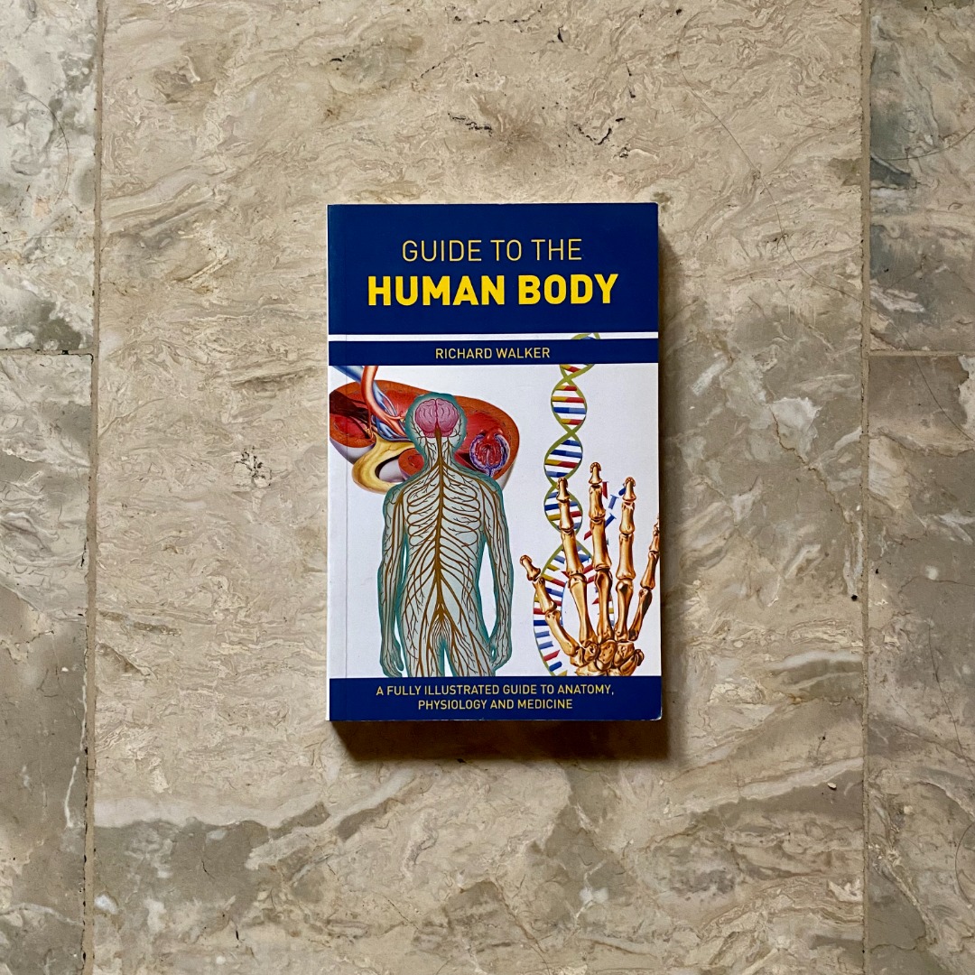 Guide to the Human Body | Richard Walker, Hobbies & Toys, Books ...