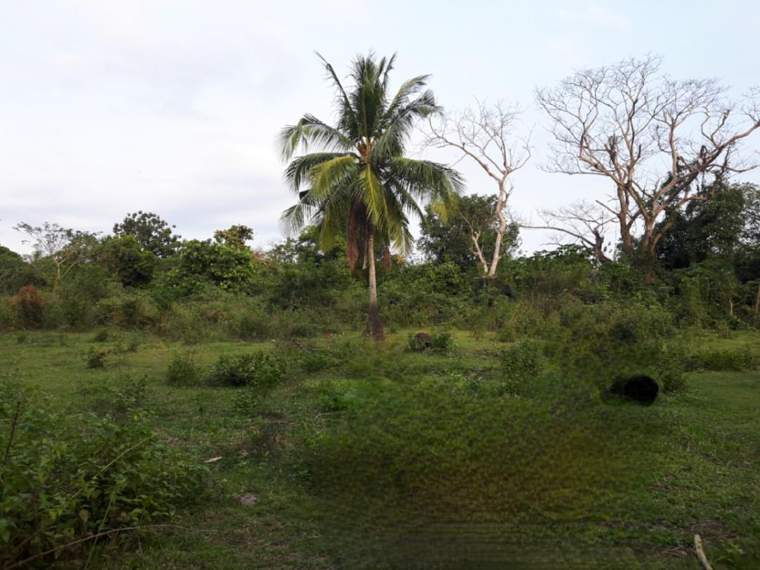 Half hectare farm and agricultural lot, Property, For Sale, Lot on ...