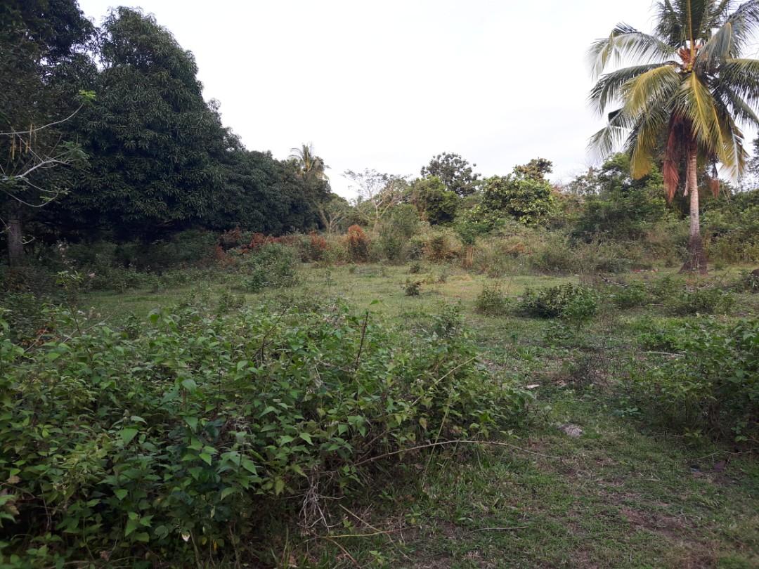 Half hectare farm and agricultural lot, Property, For Sale, Lot on ...