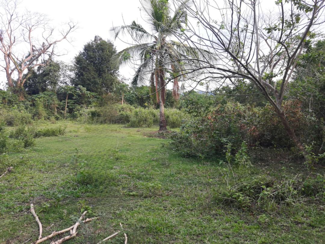 Half hectare farm and agricultural lot, Property, For Sale, Lot on ...