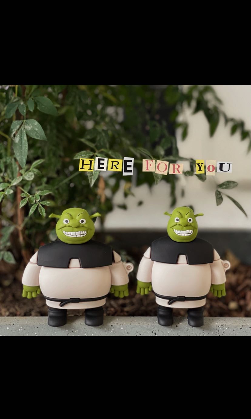 Shrek airpods pro case, Computers & Tech, Parts & Accessories, Other ...