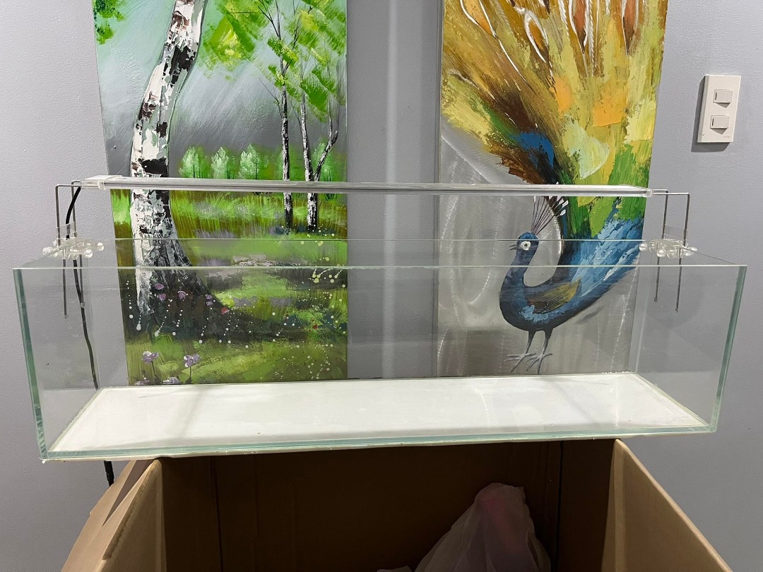 TCFM Tank and Hepo Light bundle, Pet Supplies, Homes & Other Pet ...