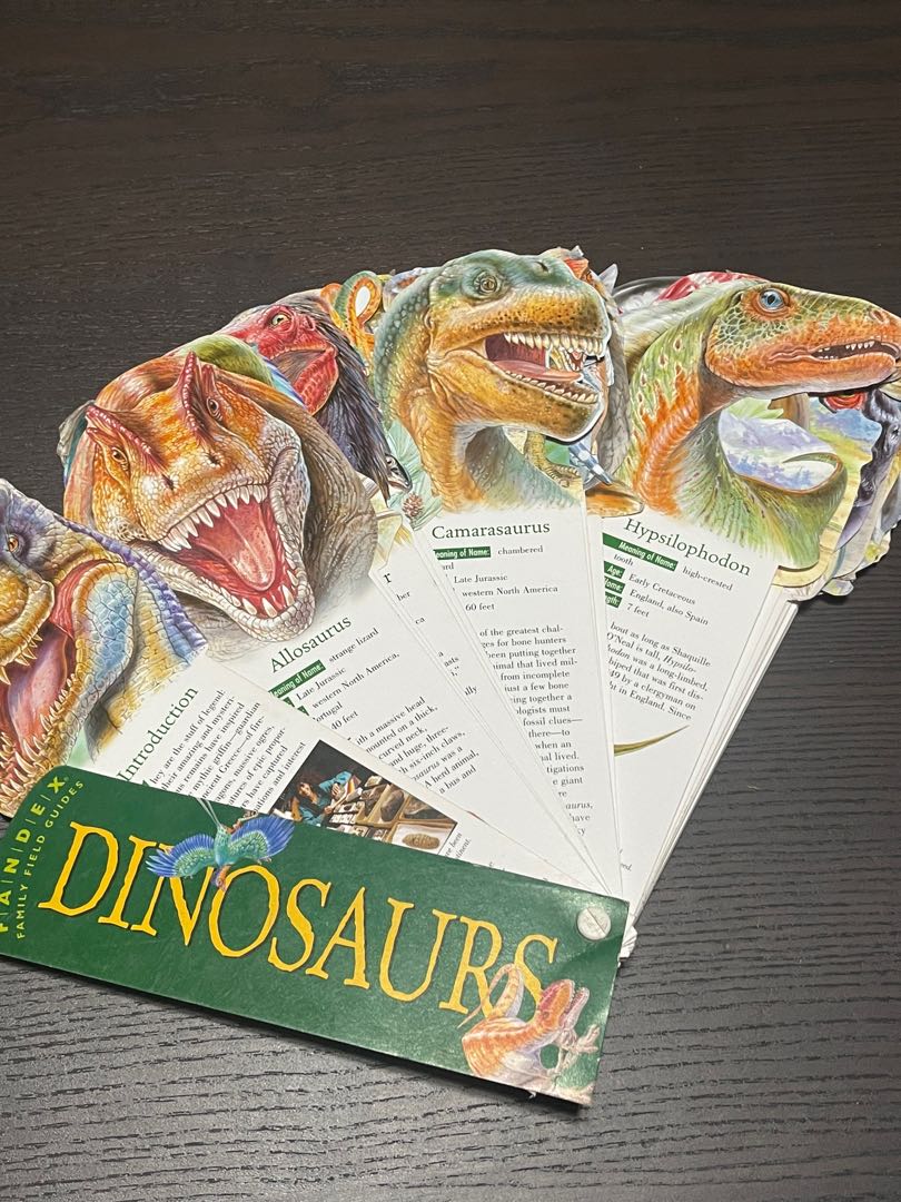 Dinosaurs Fandex, Hobbies & Toys, Books & Magazines, Children's Books ...