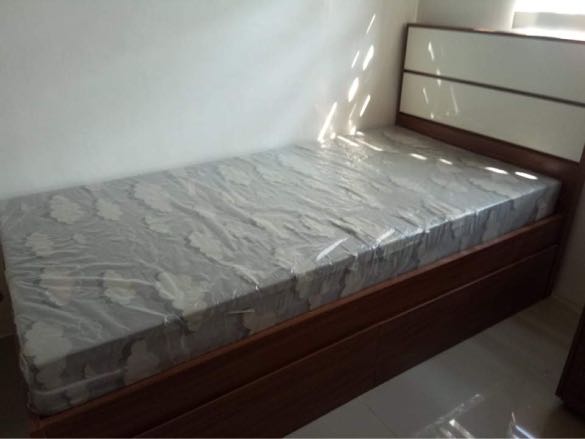 Mandaue Foam Flex Foam Mattress with Bed Frame, Furniture & Home Living ...