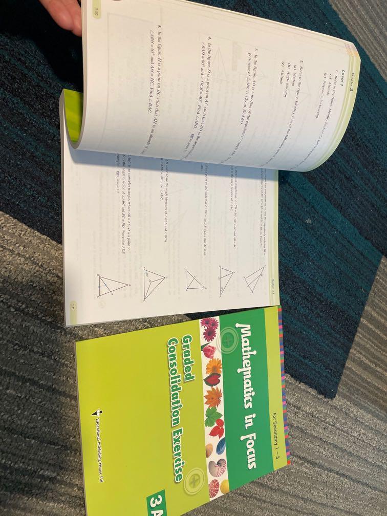 Mathematics in Focus 3A Traditional Building & Graded Consolidation ...